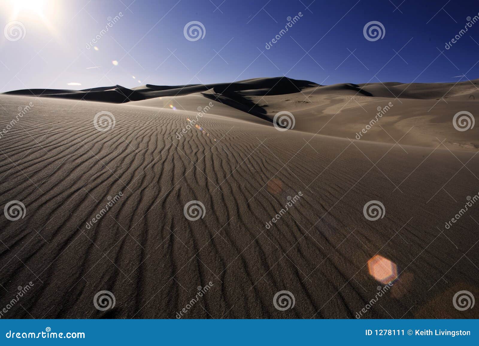 Dune Ripples stock image. Image of national, great, sand - 1278111
