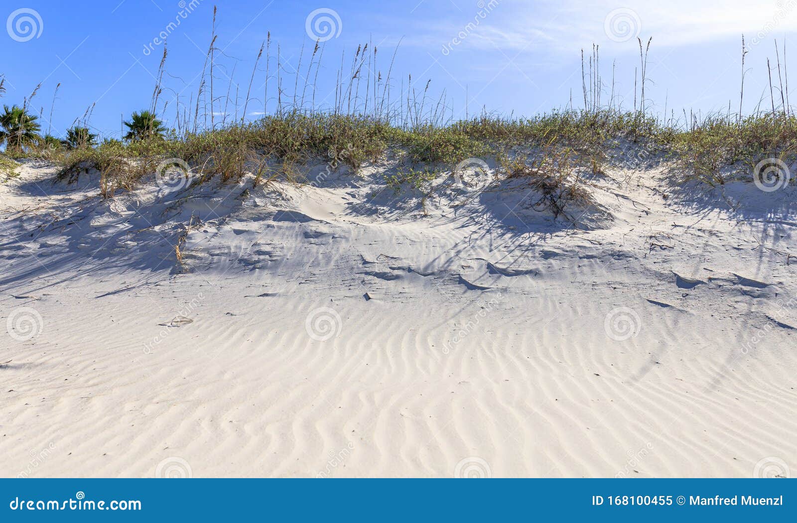 A Dune on the Sand Beach after a Stormy Night Stock Image - Image of ...