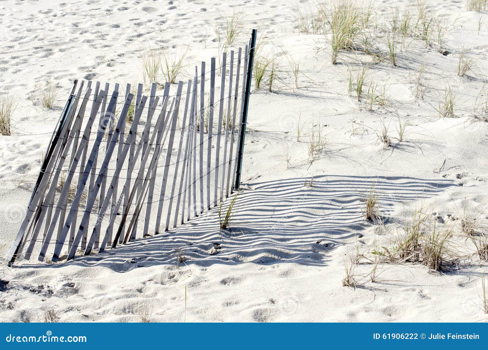 Dune Stabilization Fence stock photo. Image of beach - 61906222