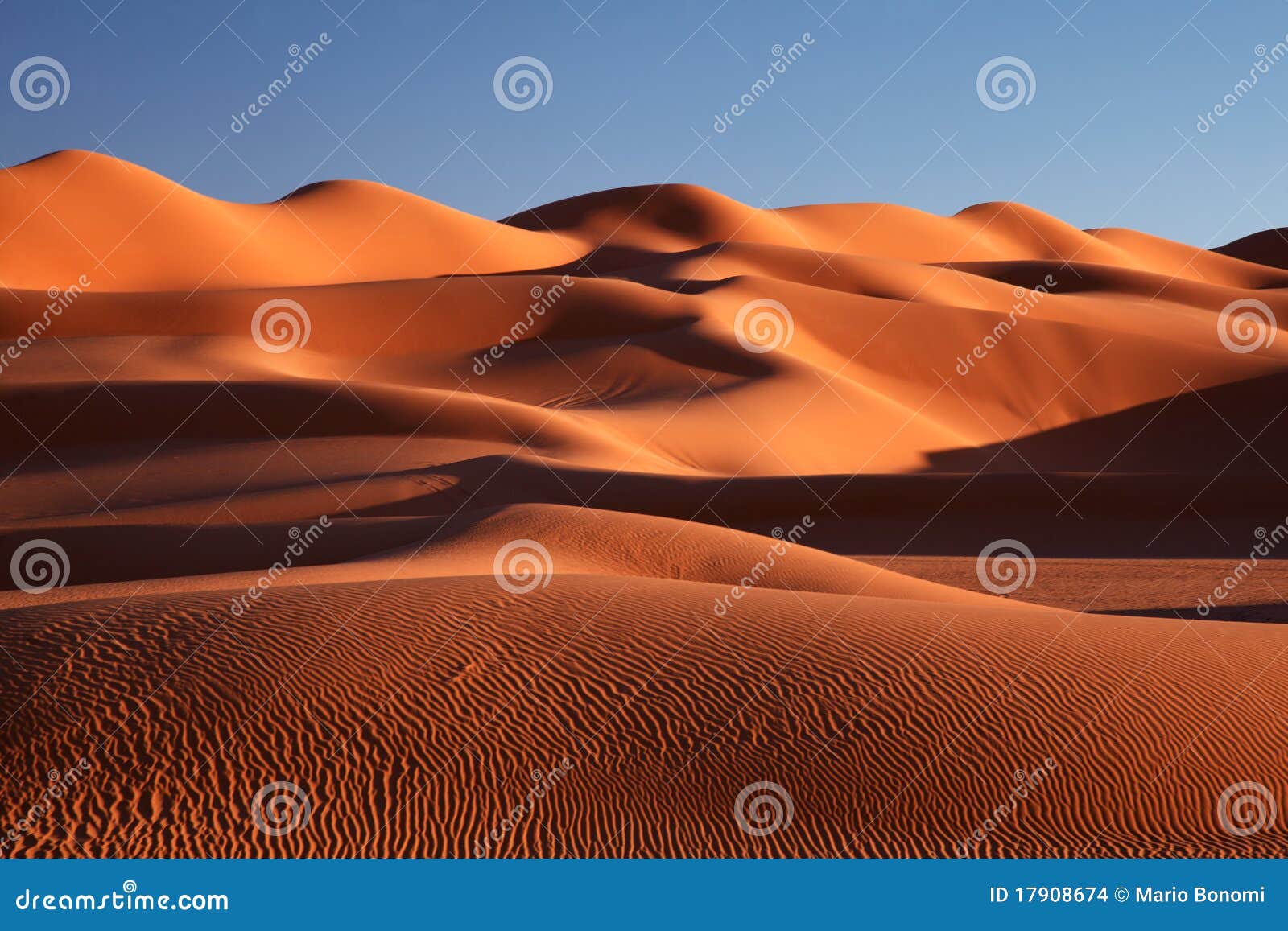 Dunes stock photo. Image of desert, arabic, adventure - 17908674
