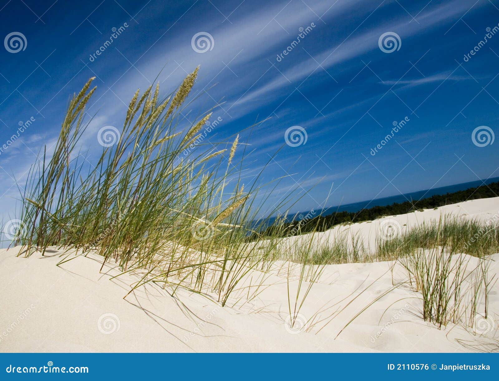 Dunes stock photo. Image of holidays, nature, natural - 2110576