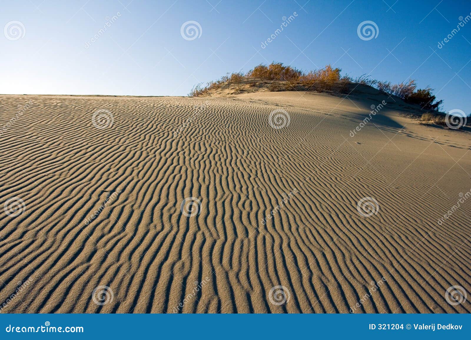 Dunes stock photo. Image of nida, horizont, sand, texture - 321204