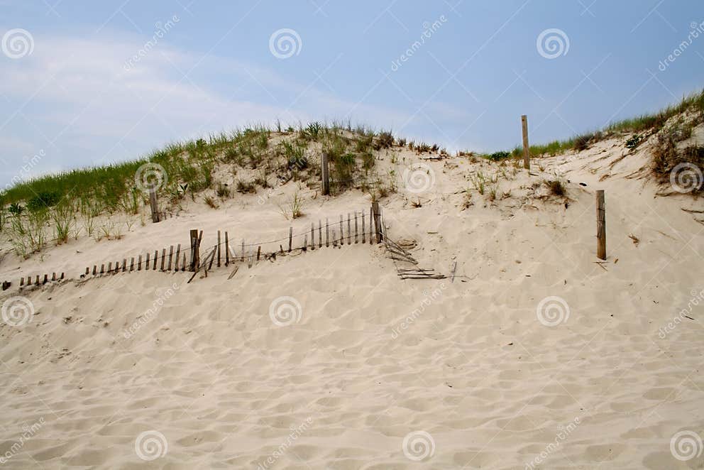 Dunes stock photo. Image of sand, coast, wood, shore, wooden - 945532
