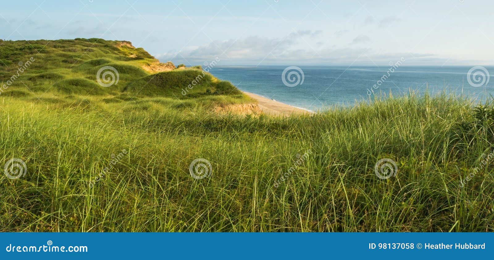 Dunes and Beach Grass. stock photo. Image of outside - 98137058