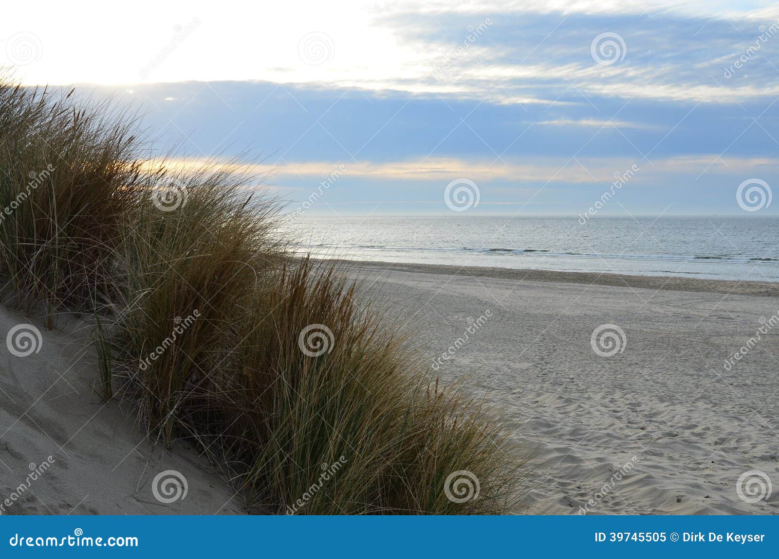Dunes, Beach and Sea in Zeeland, Netherlands Stock Image - Image of ...