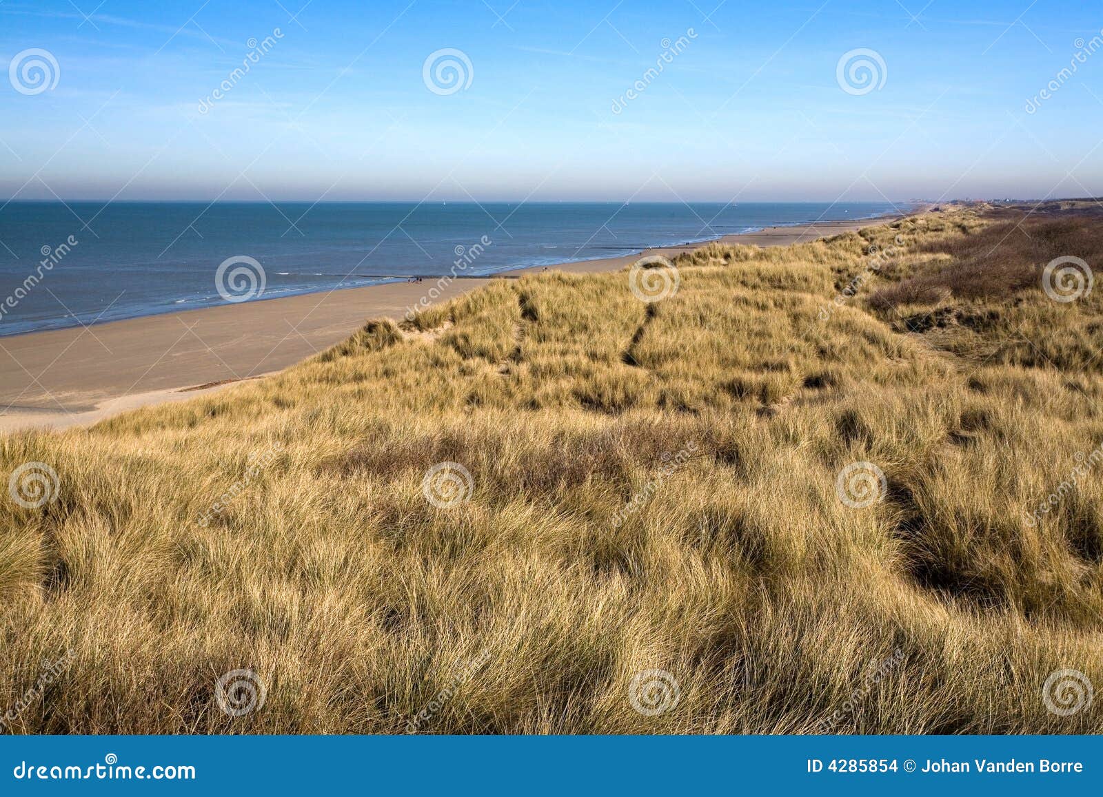 Dunes at the Coast stock photo. Image of bredene, dune - 4285854
