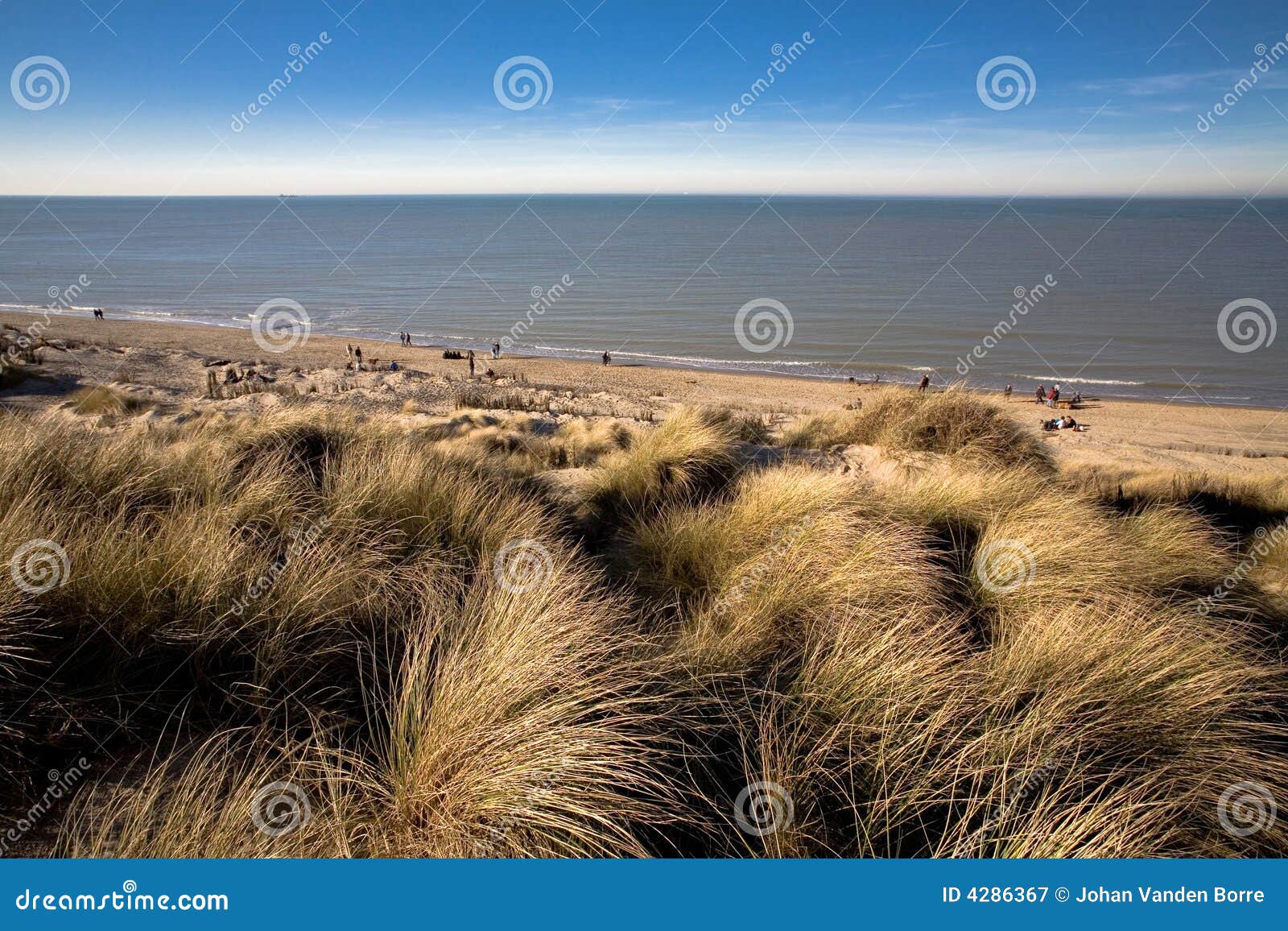 Dunes at the Coast stock image. Image of northsea, belgique - 4286367