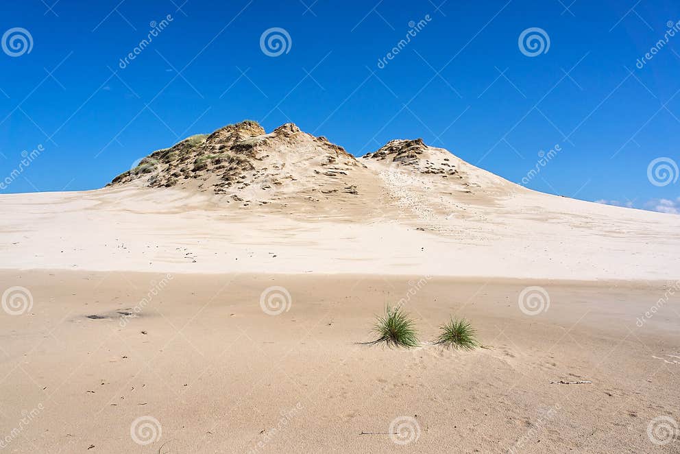Dunes in Leba, Poland. stock image. Image of coast, national - 27379155