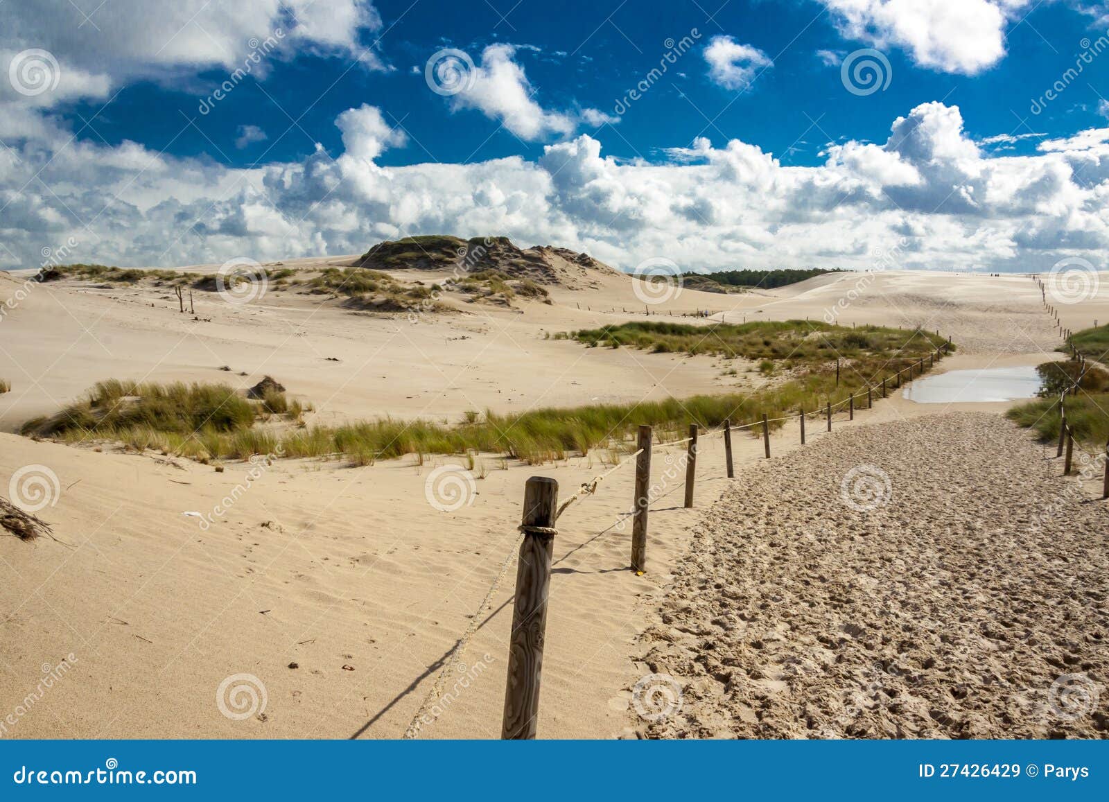 Dunes in Leba - Poland stock image. Image of mound, golden - 27426429