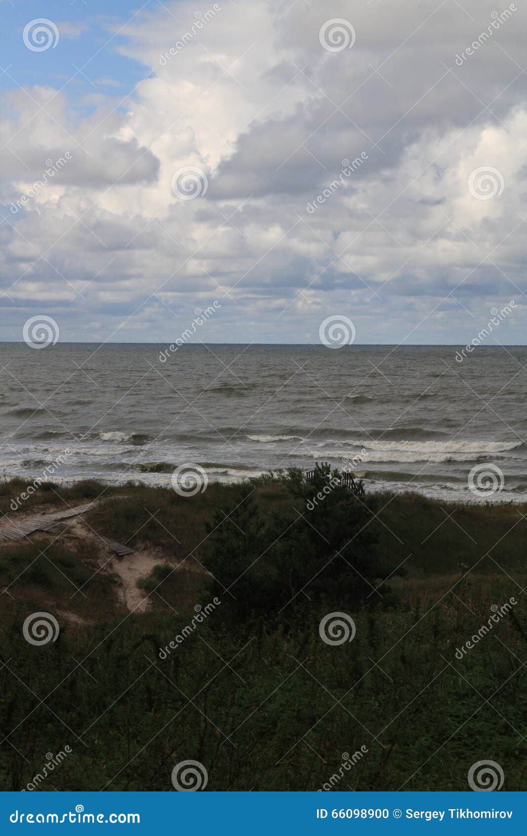 Dunes in Lithuania, Year 2012 Stock Photo - Image of desert, curonian ...