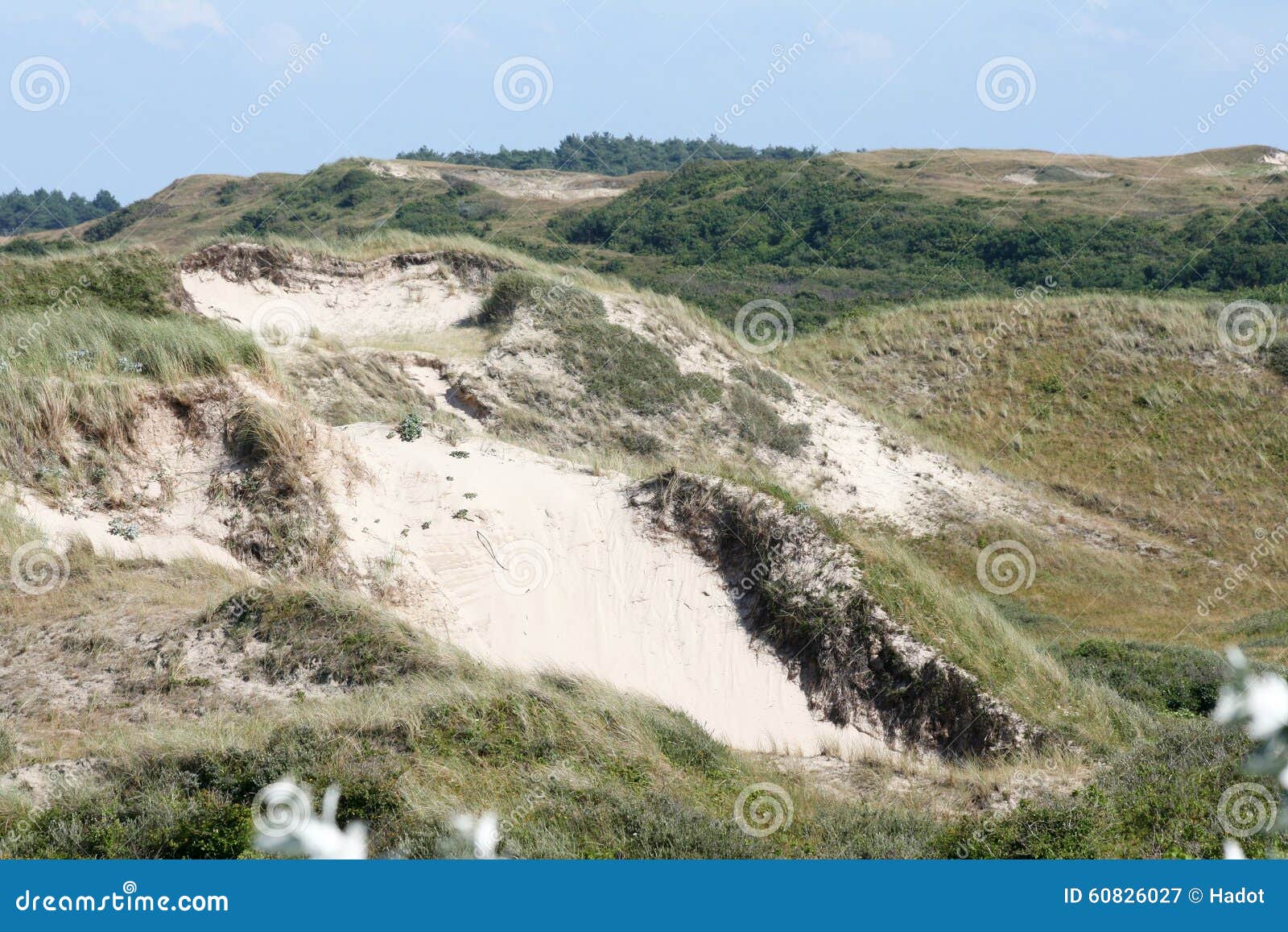 Dunes stock image. Image of dune, coast, idylle, idyll - 60826027