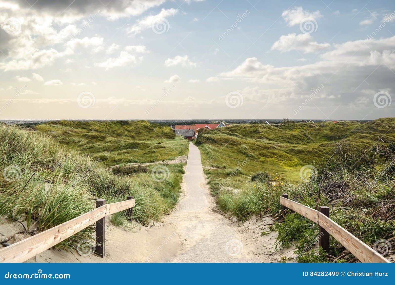 Dunes path stock image. Image of nature, baltic, path - 84282499