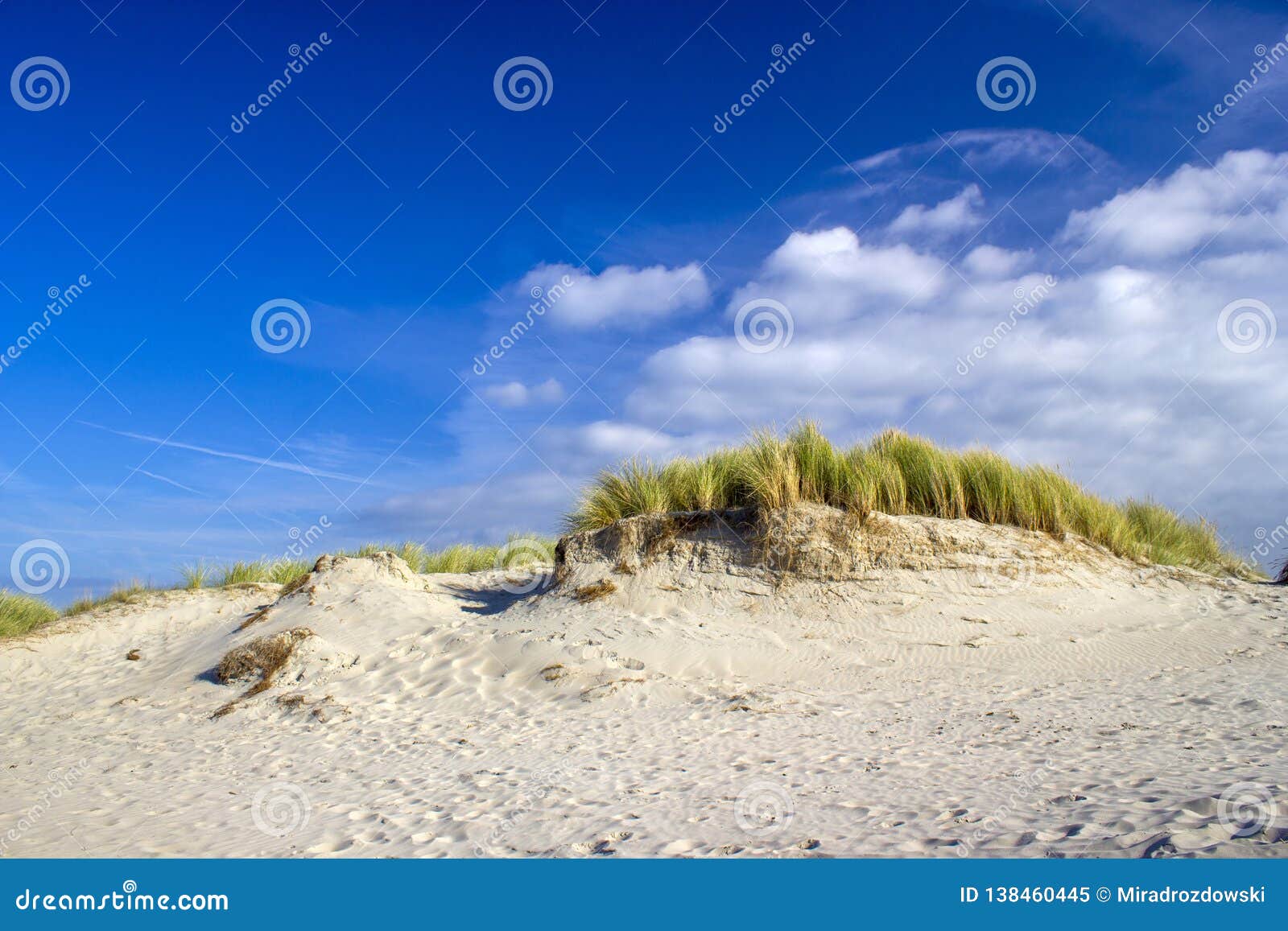 The Dunes, Renesse, Zeeland, the Netherlands Stock Image - Image of ...