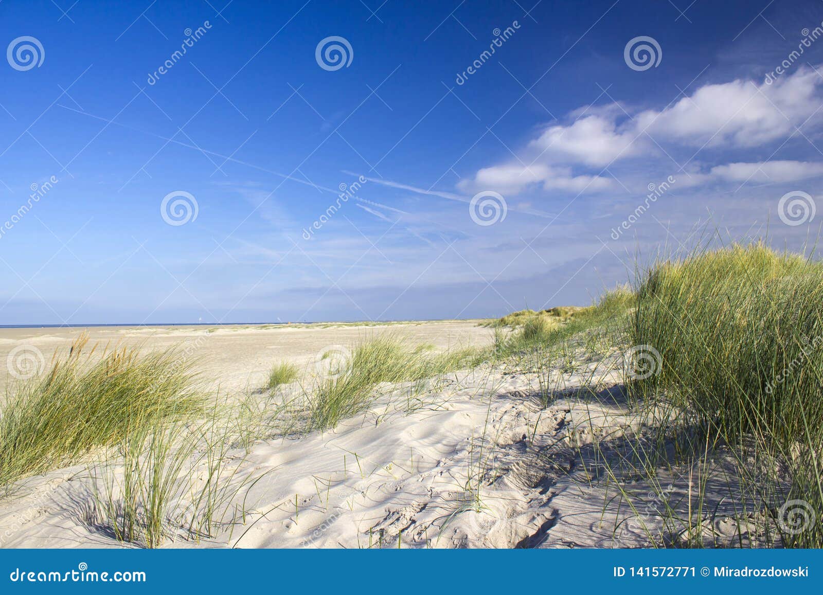 The Dunes, Renesse, the Netherlands Stock Image - Image of resort ...