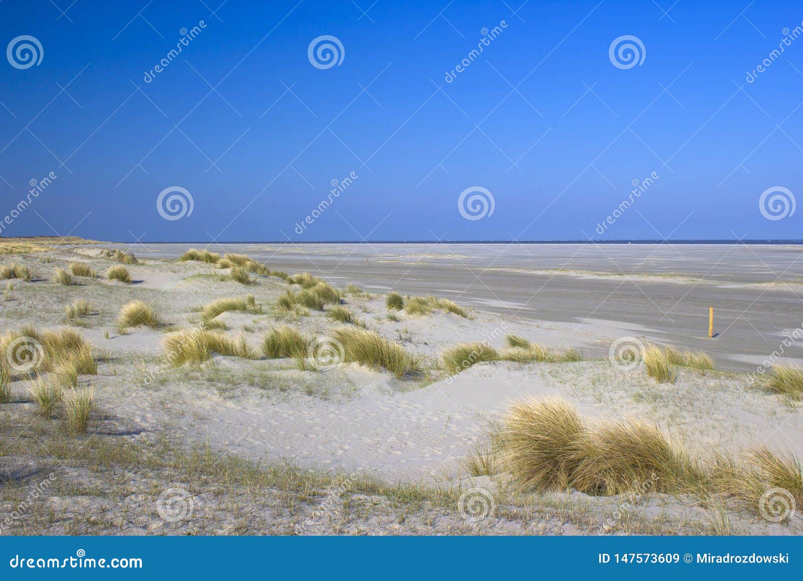 The Dunes, Renesse, Zeeland, the Netherlands Stock Image - Image of ...