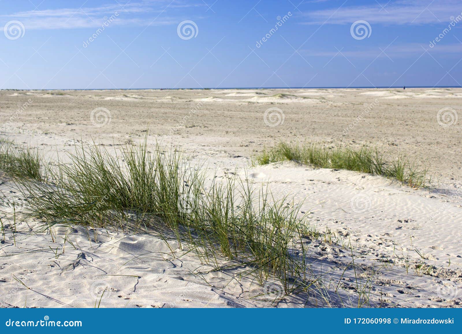 The Dunes, Renesse, the Netherlands Stock Photo - Image of relaxation ...