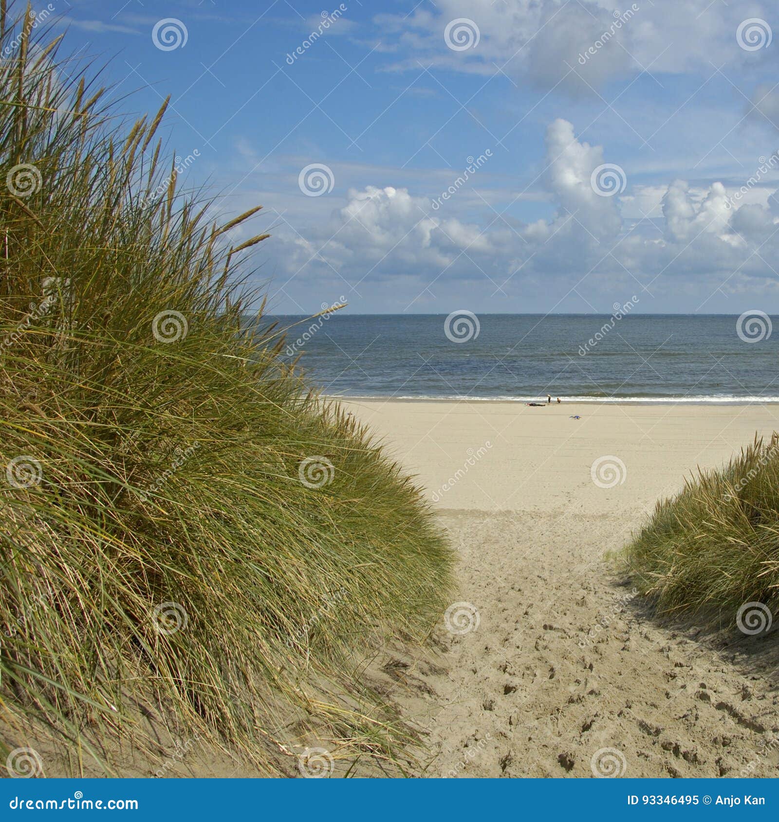 Dunes, Vlieland the Netherlands Stock Image - Image of holland ...