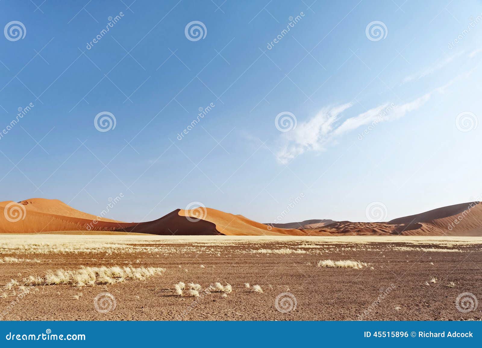 Dunescape stock photo. Image of sand, sunlight, vast - 45515896