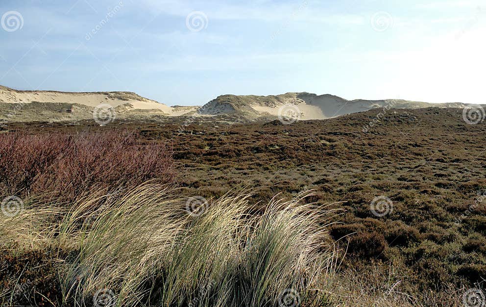 Dunescape Sylt 5 stock photo. Image of grass, hill, scape - 2236350
