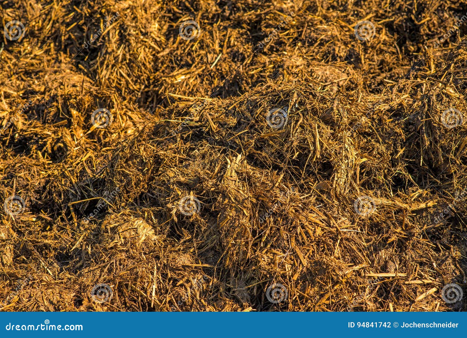 Dung hill closeup stock photo. Image of dung, heap, nasty - 94841742