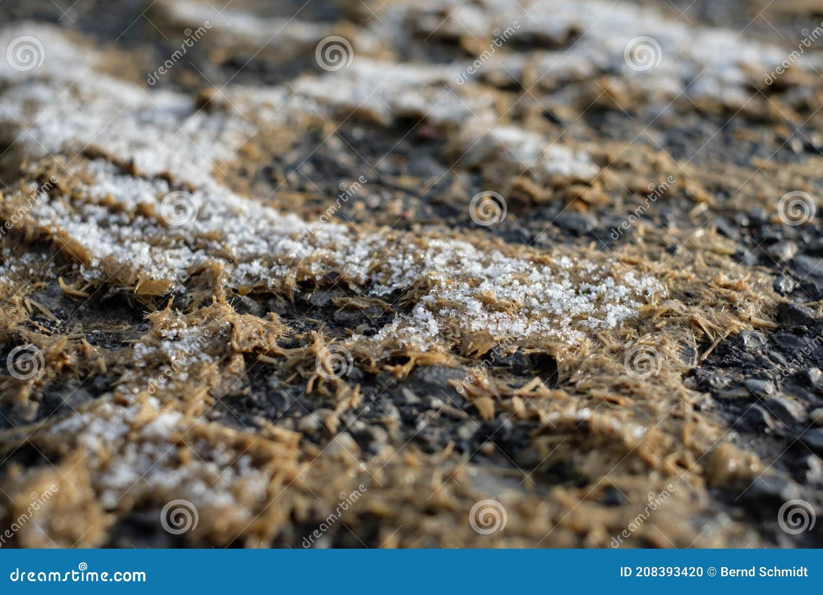 Dung with Ice Crystals on Soil Stock Photo - Image of pollution, earth ...