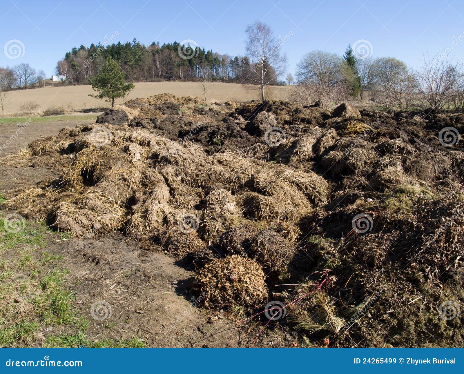 Dung pile stock image. Image of countryside, farm, pile - 24265499