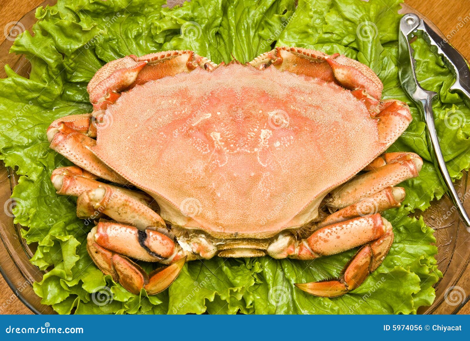 Dungeness Crab stock photo. Image of clear, crustacean - 5974056