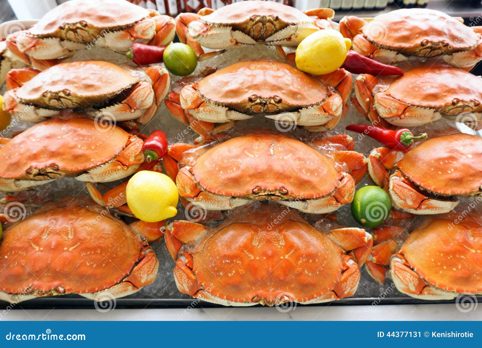 Dungeness crab stock image. Image of pacific, cuisine - 44377131