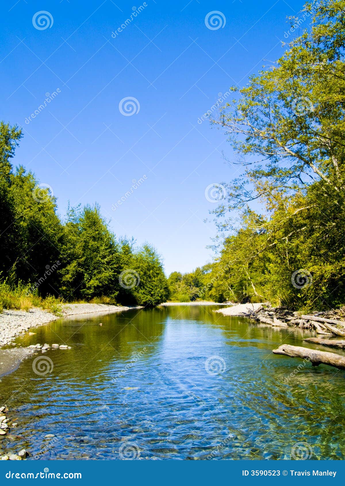 Dungeness River stock image. Image of cascade, forest - 3590523