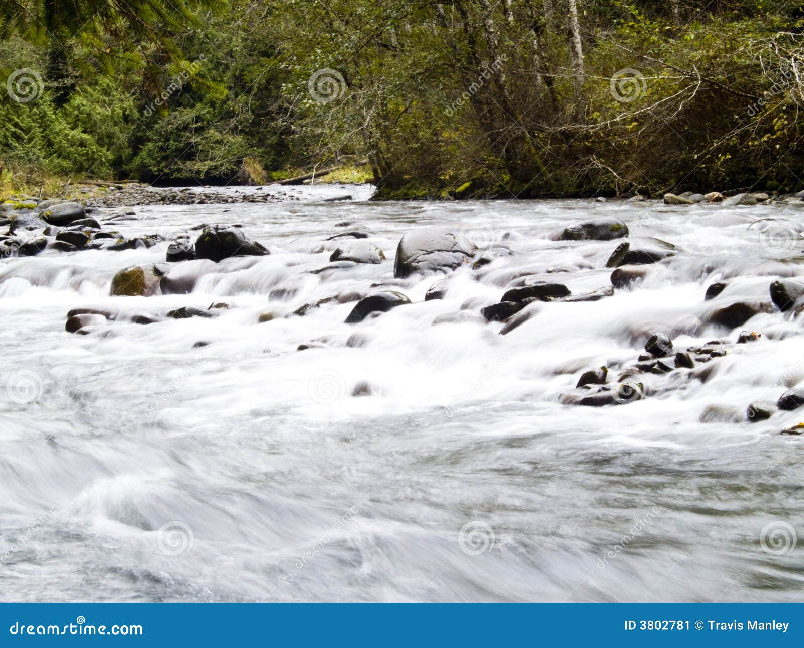 Dungeness River stock image. Image of northwest, nature - 3802781