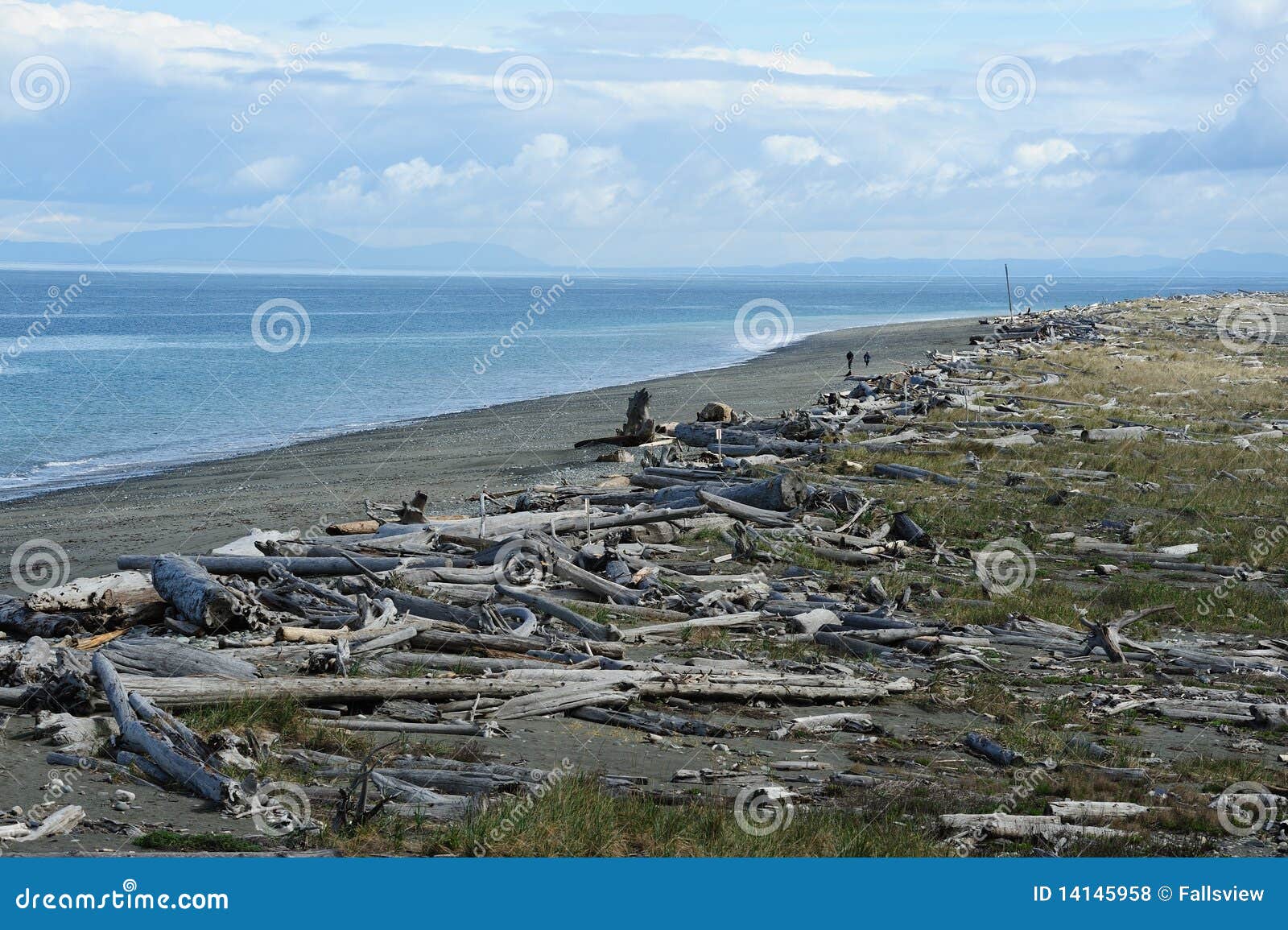 Dungeness spit stock photo. Image of dungeness, coastal - 14145958