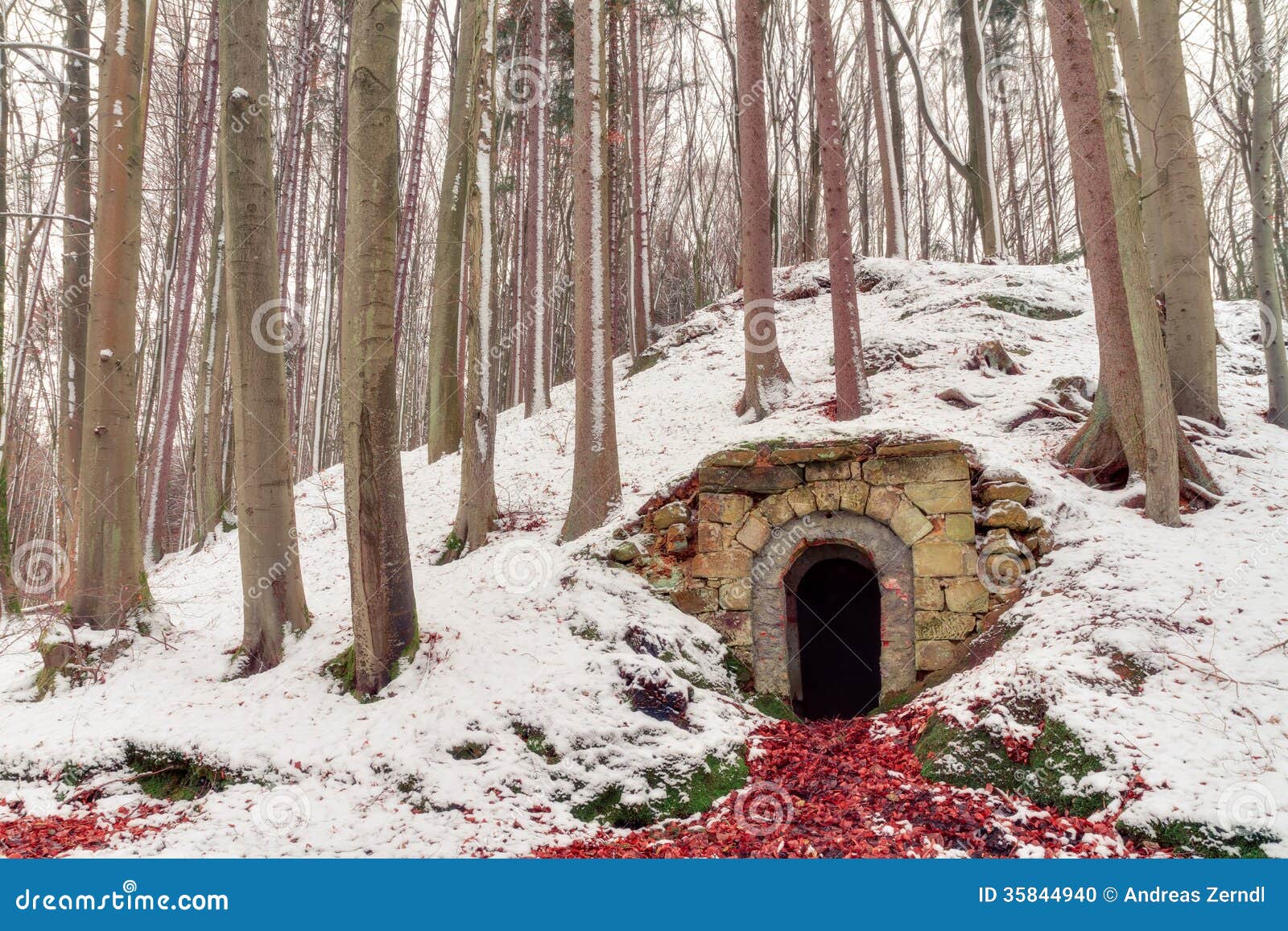 Dungeon Entrance stock photo. Image of exploration, entrance - 35844940