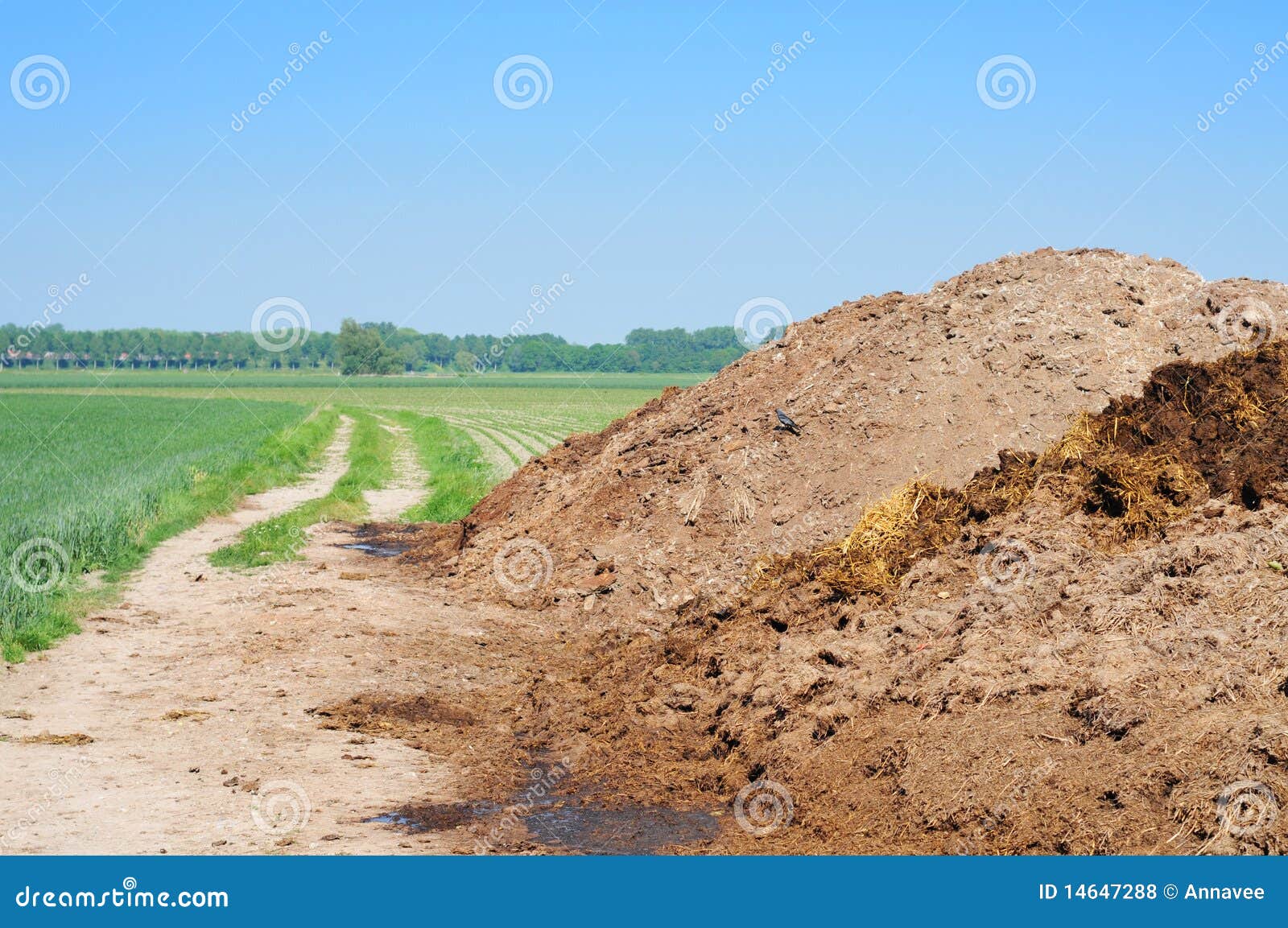 Dunghill stock photo. Image of trees, flora, grass, dunghill - 14647288