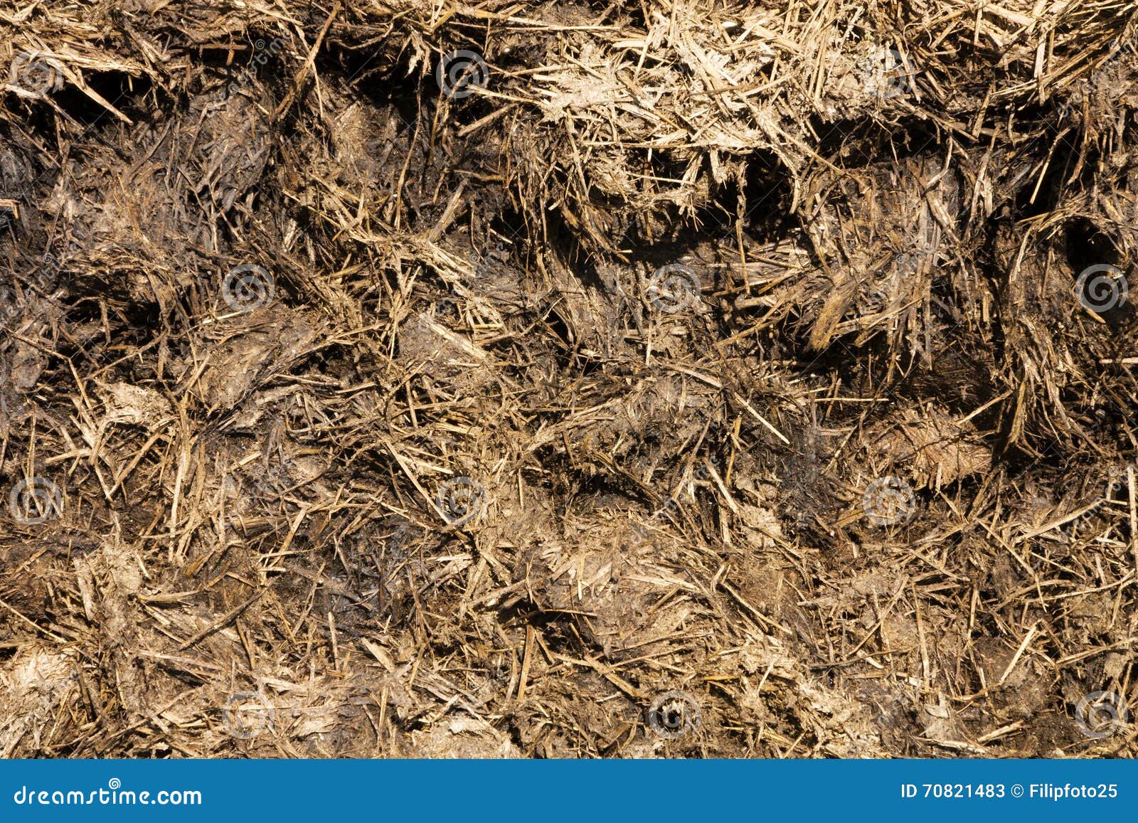 Dunghill stock image. Image of garbage, biology, dunghill - 70821483