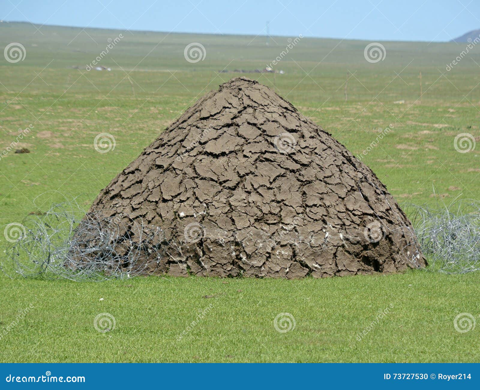 Dunghill in the Grassland stock photo. Image of grassland - 73727530