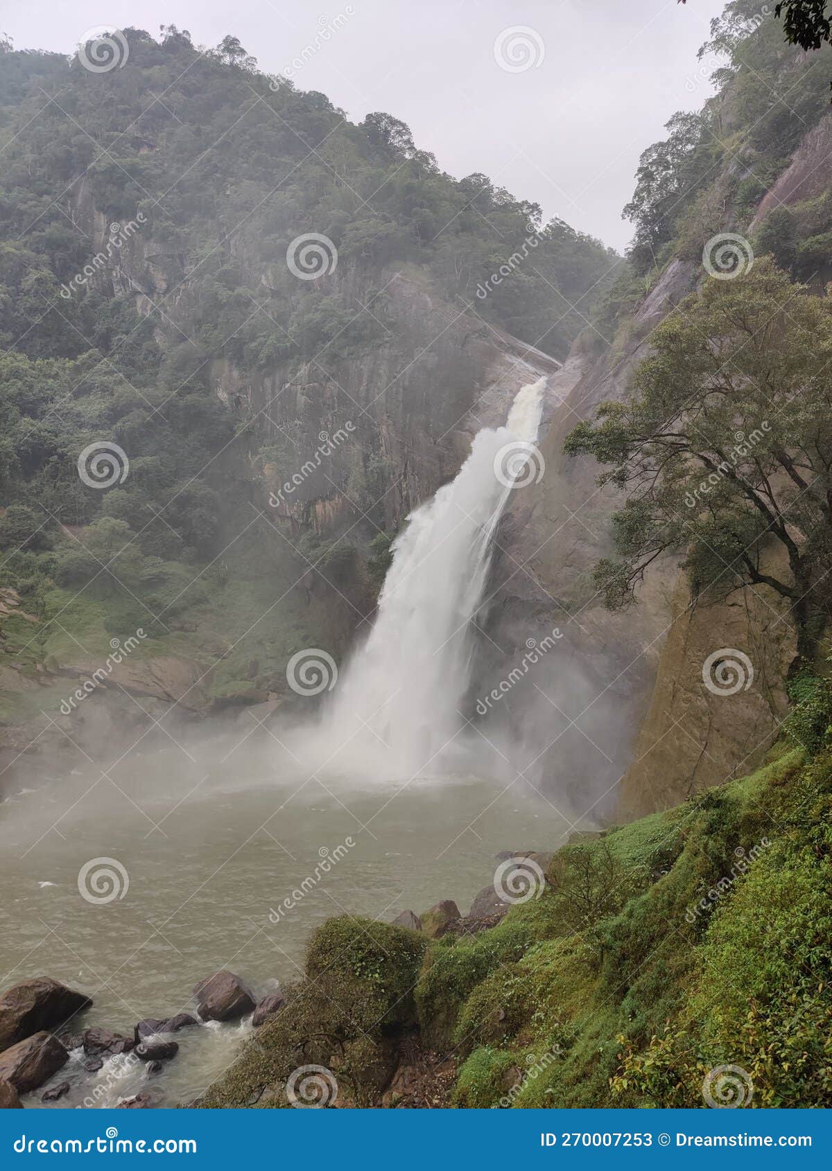 Dunhida Waterfall Sri Lanka Stock Image - Image of rock, tree: 270007253