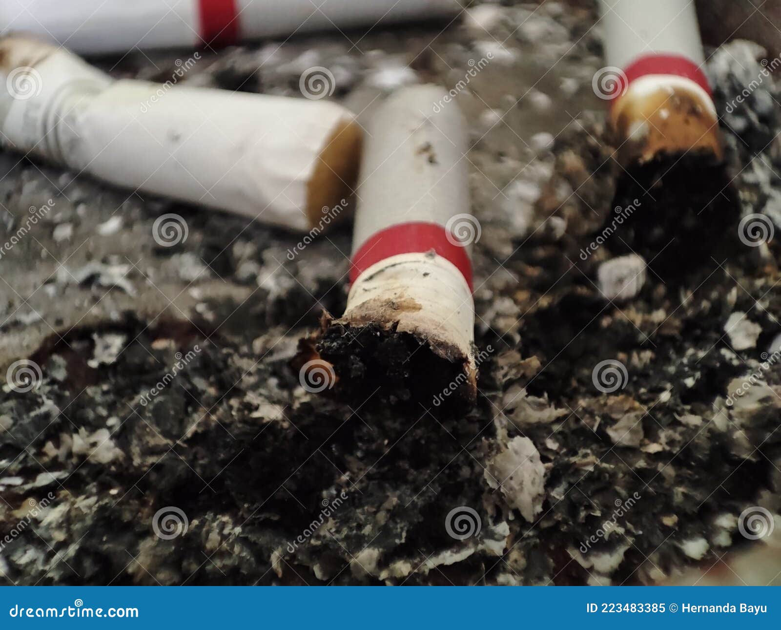 Dunhill Cigarette Filter Black Ashes Stock Image - Image of ashes ...