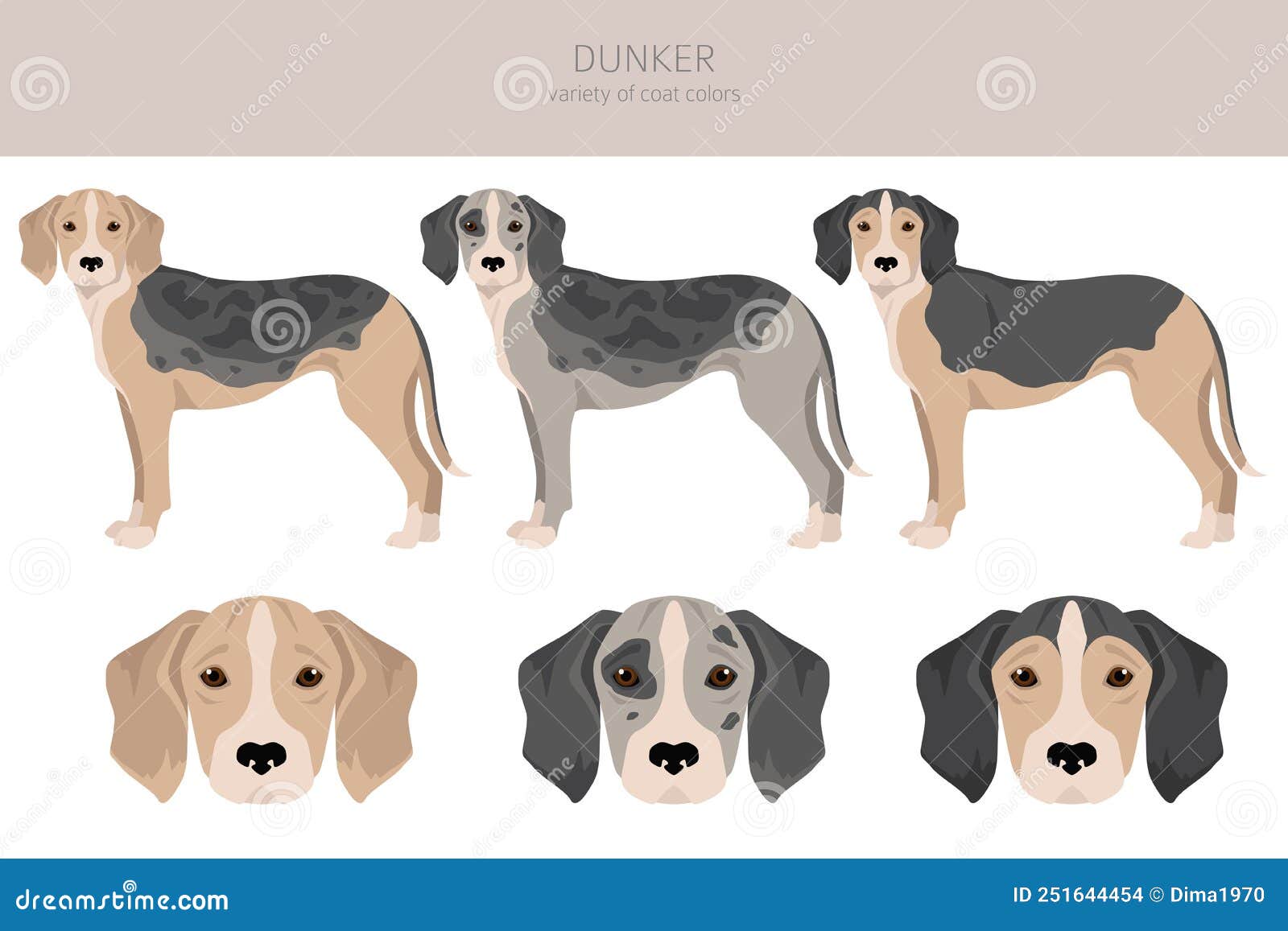 Dunker Clipart. Different Poses, Coat Colors Set Stock Illustration ...