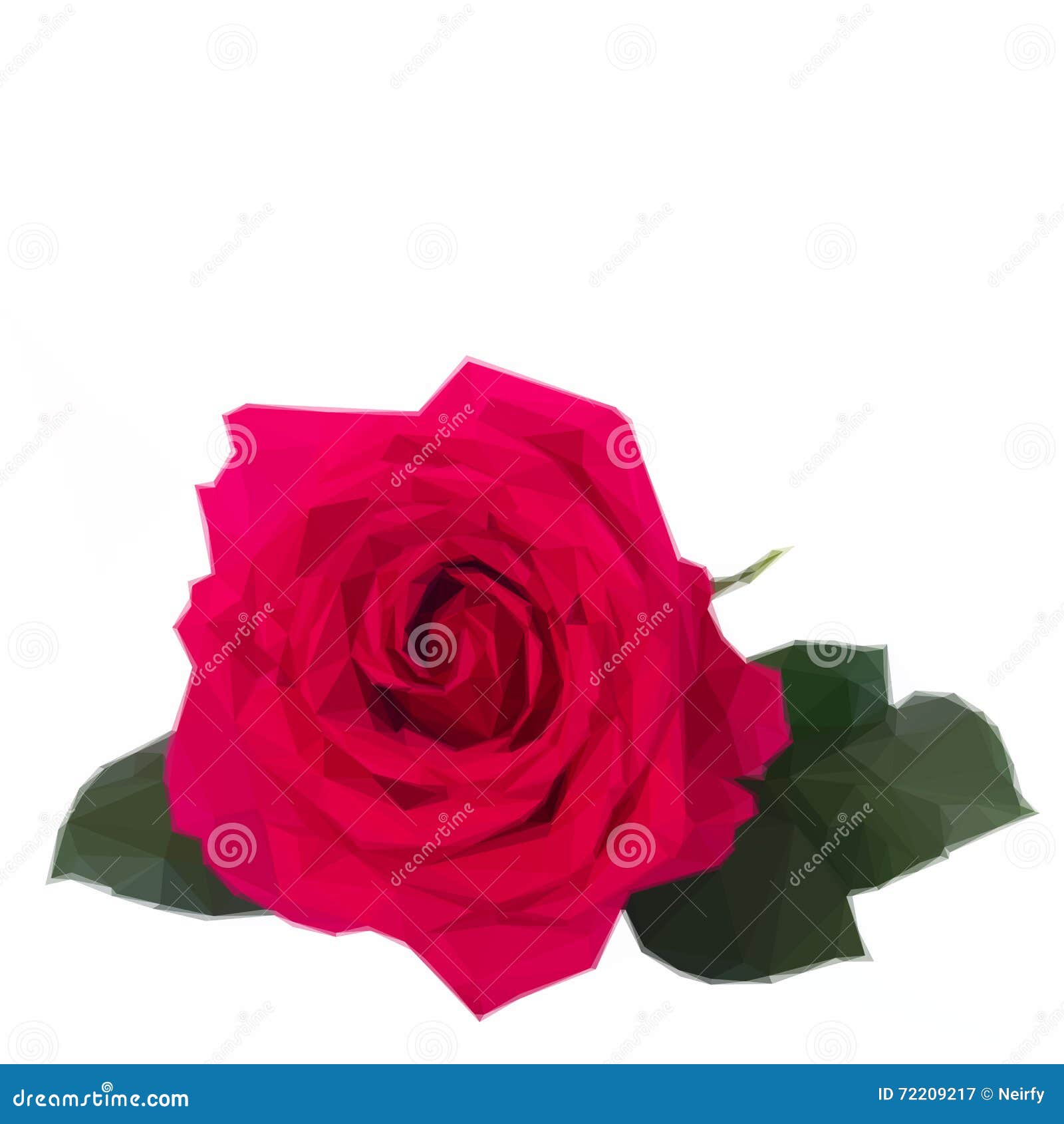 Dunkle rosa Rosen eine vektor abbildung. Illustration von poly - 72209217