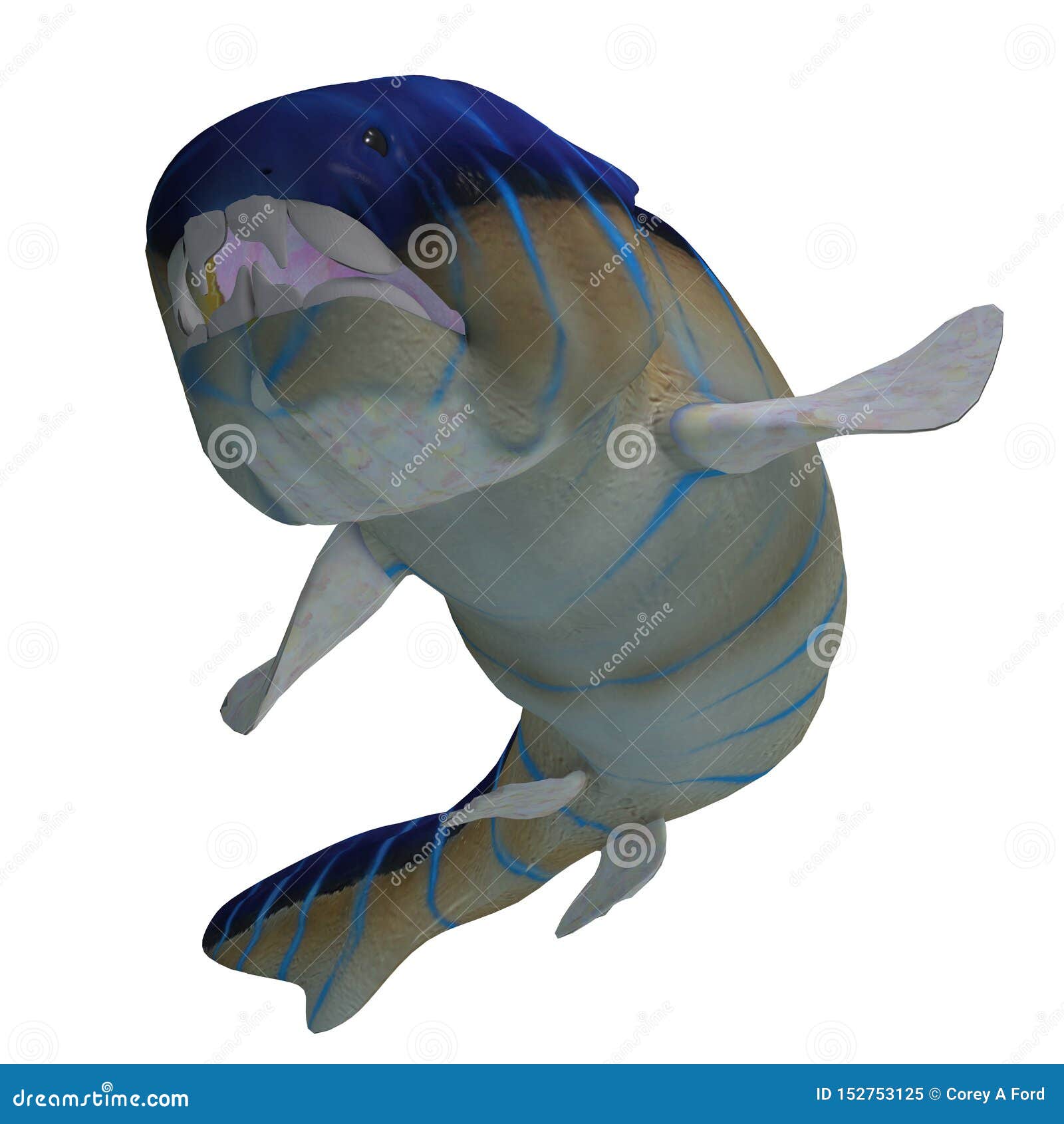 Dunkleosteus Fish Teeth stock illustration. Illustration of life ...