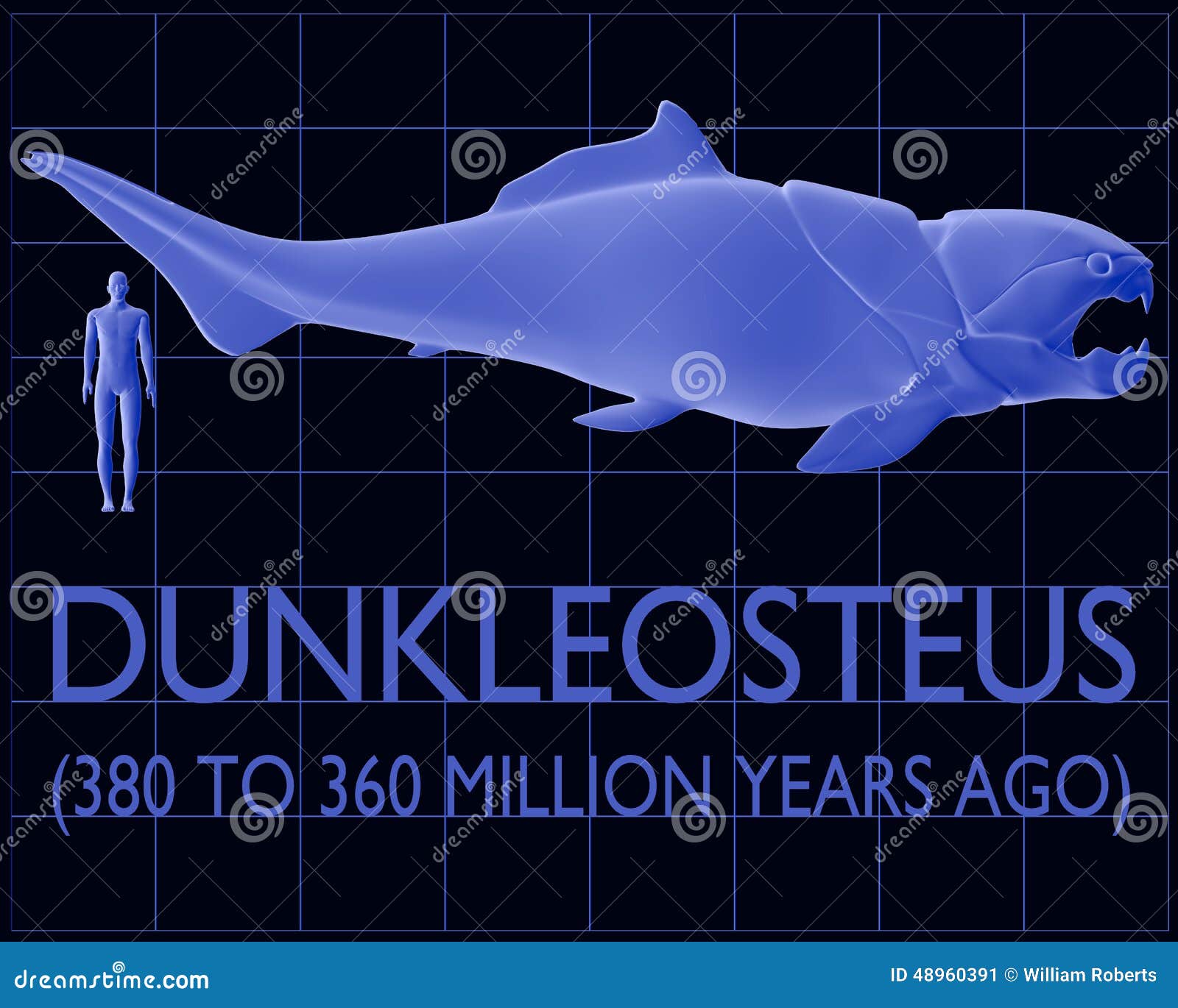 Dunkleosteus And Human Size Comparison Stock Illustration - Image: 48960391