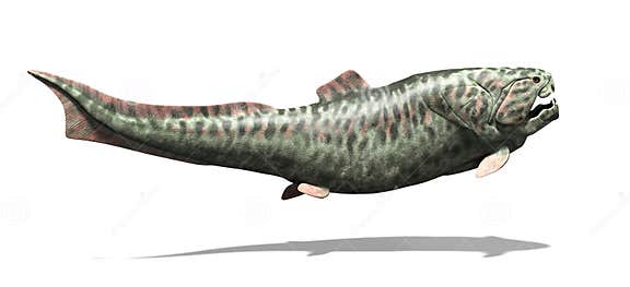 Dunkleosteus - Prehistoric Fish Stock Illustration - Illustration of ...