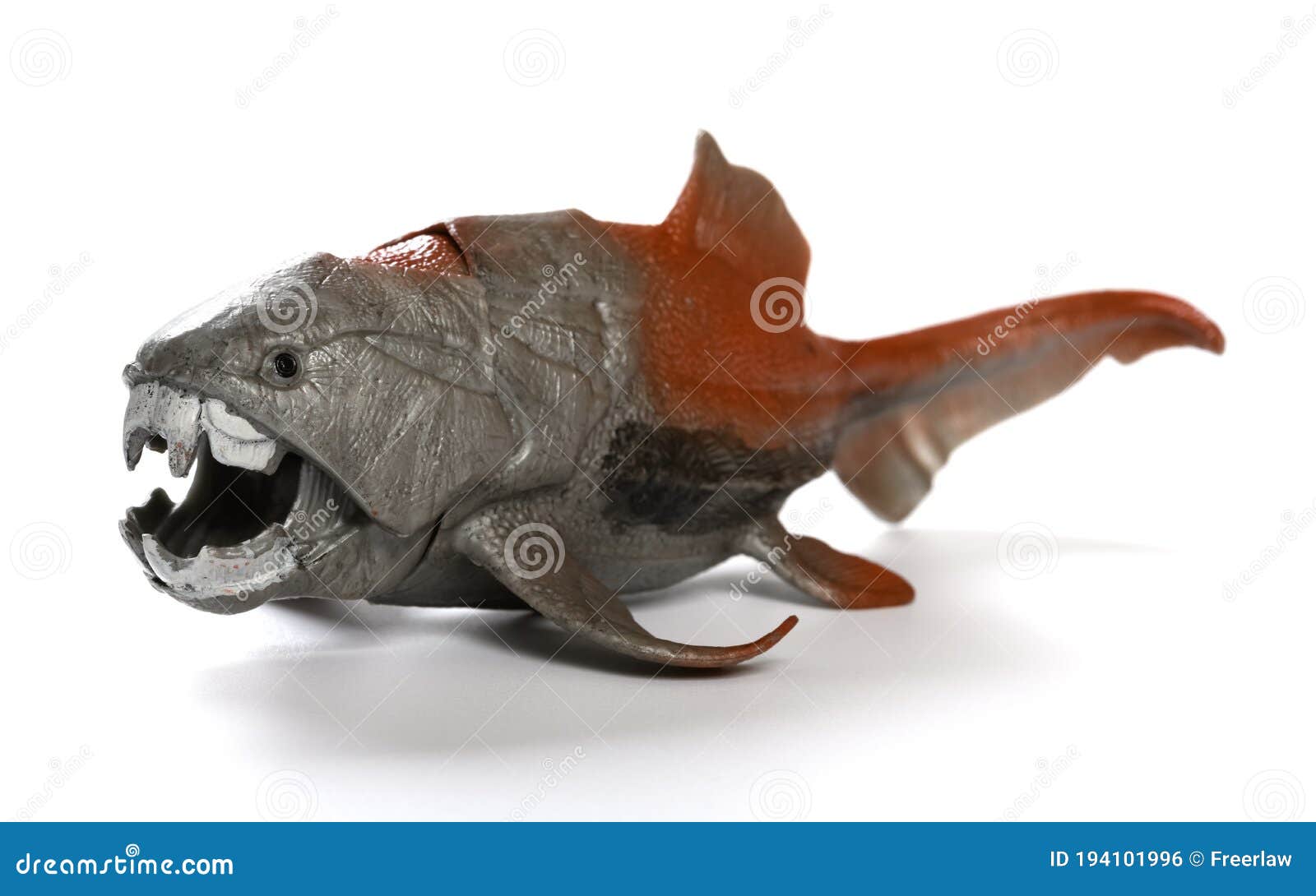 Dunkleosteus Terrelli Model on a White Close Up on the Head Stock Photo ...