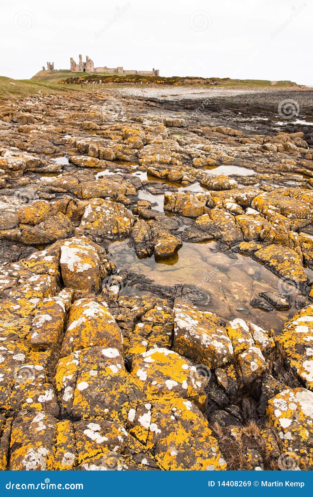 Dunstanburgh Castle and Lichen Stock Image - Image of ancient, coast ...