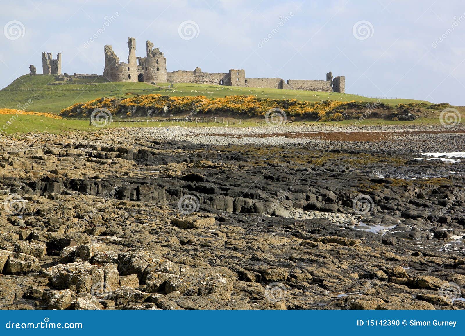 Dunstanburgh Castle Northumberland Coast Stock Photo - Image of ...