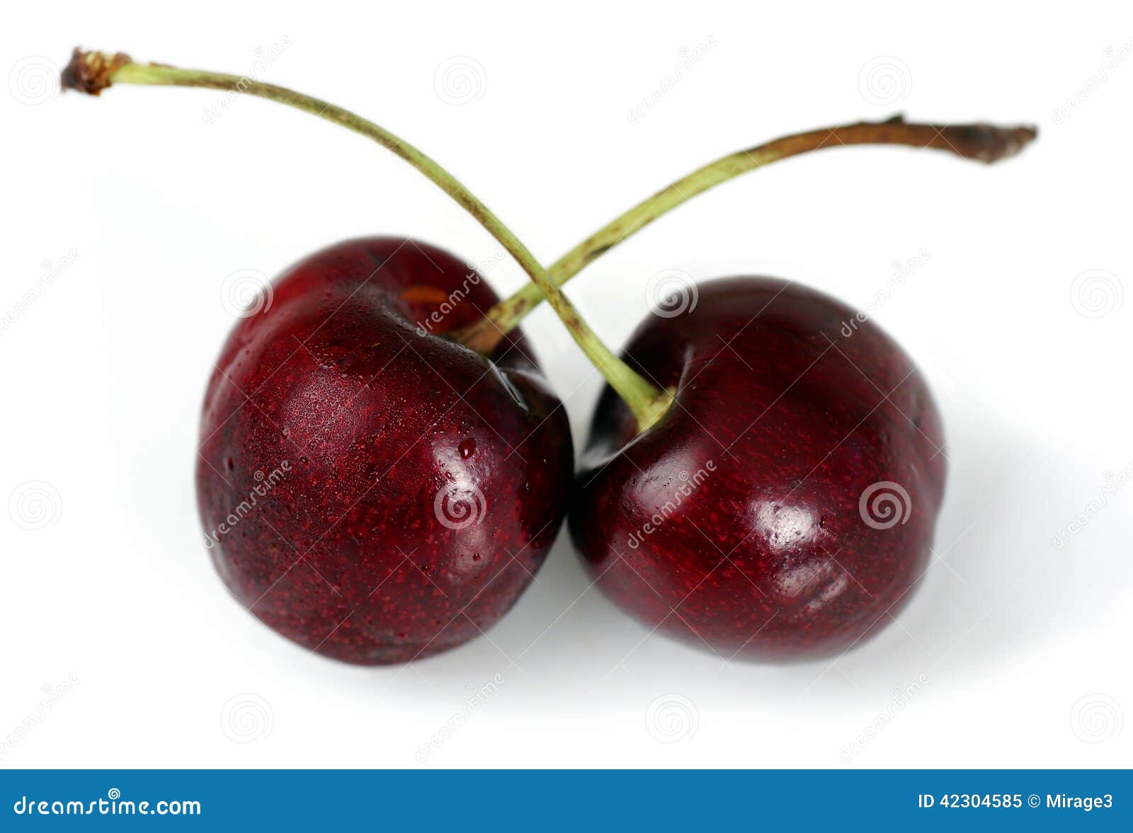 Duo of cherries stock image. Image of nature, cherry - 42304585