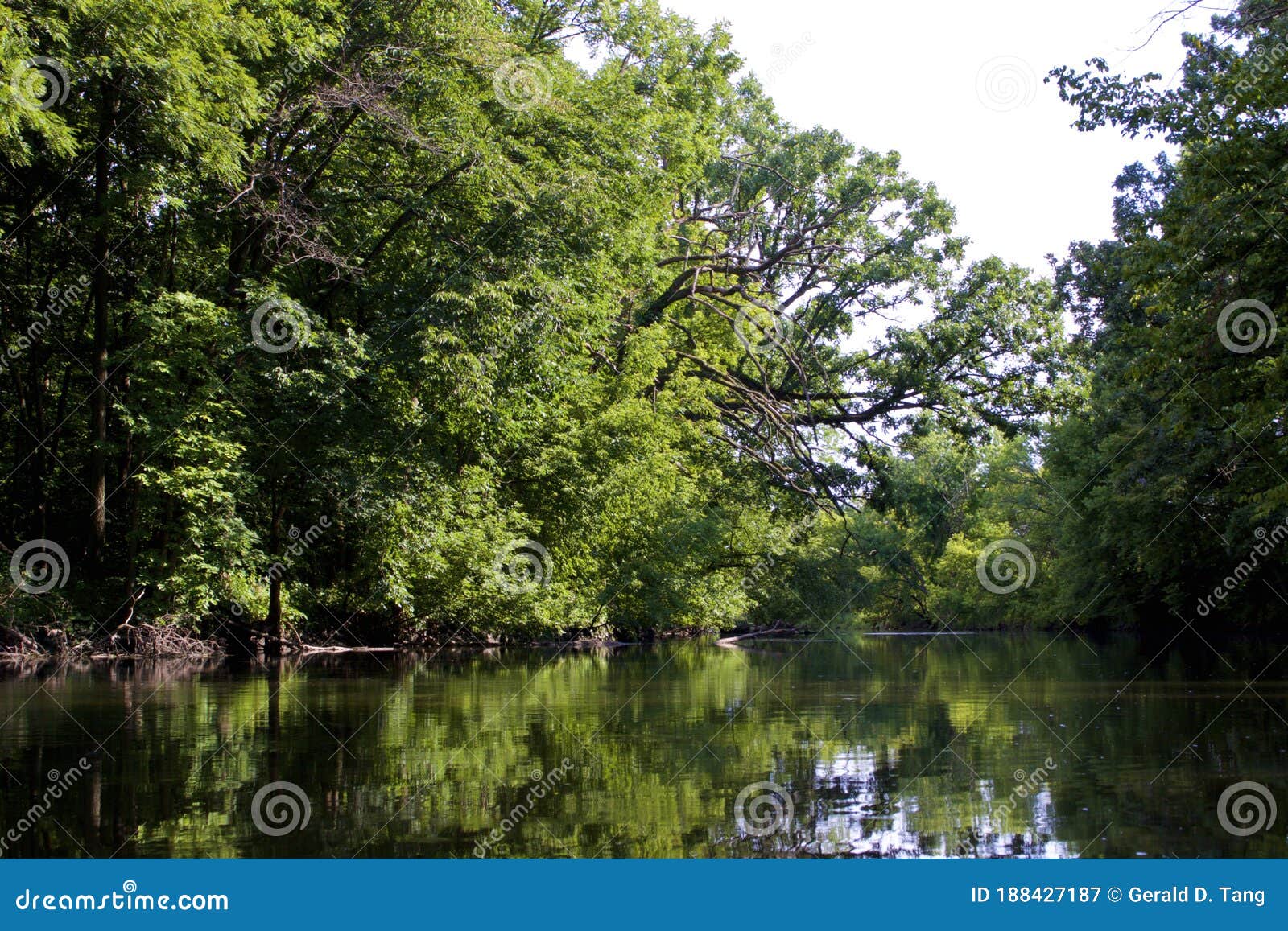 DuPage River Scenic 708135 stock image. Image of scenery - 188427187