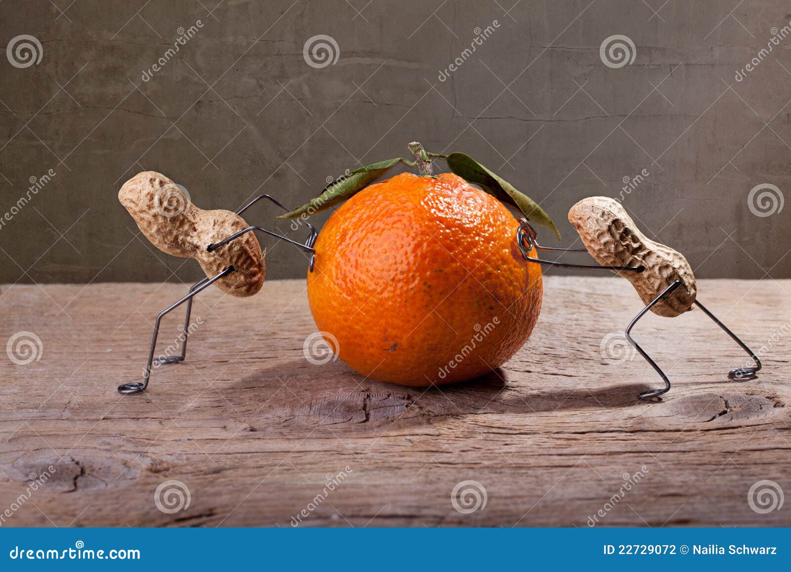Dur labeur photo stock. Image du fruits, comique, modeler - 22729072