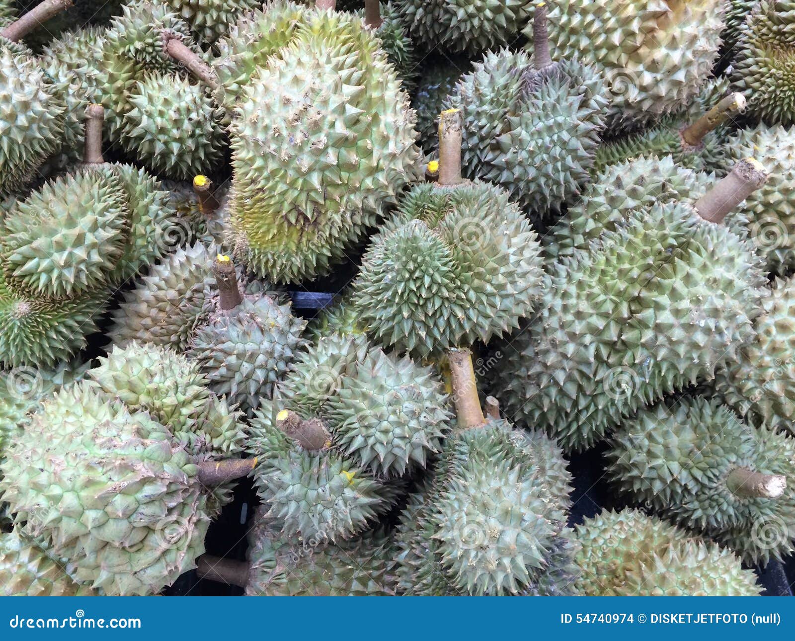 Durain stock foto. Image of thailand, beste, vrucht, nave - 54740974