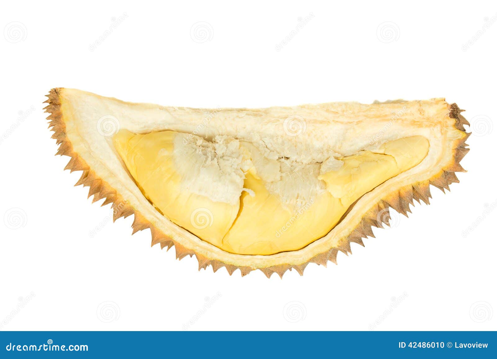 Duraine Stock Photos - Free & Royalty-Free Stock Photos from Dreamstime